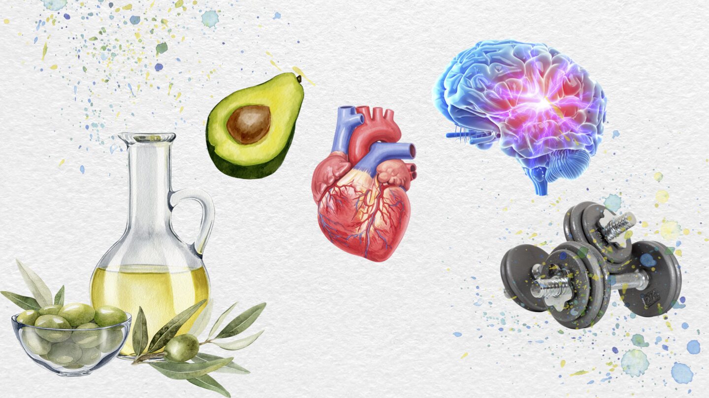 Healthy Fats and Lipids Explained | The Truth About Good and Bad Fats